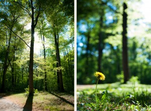 springtime in munich